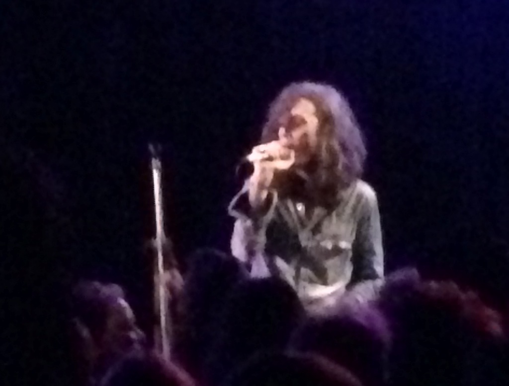 Lost Animal « Phillip Taylor